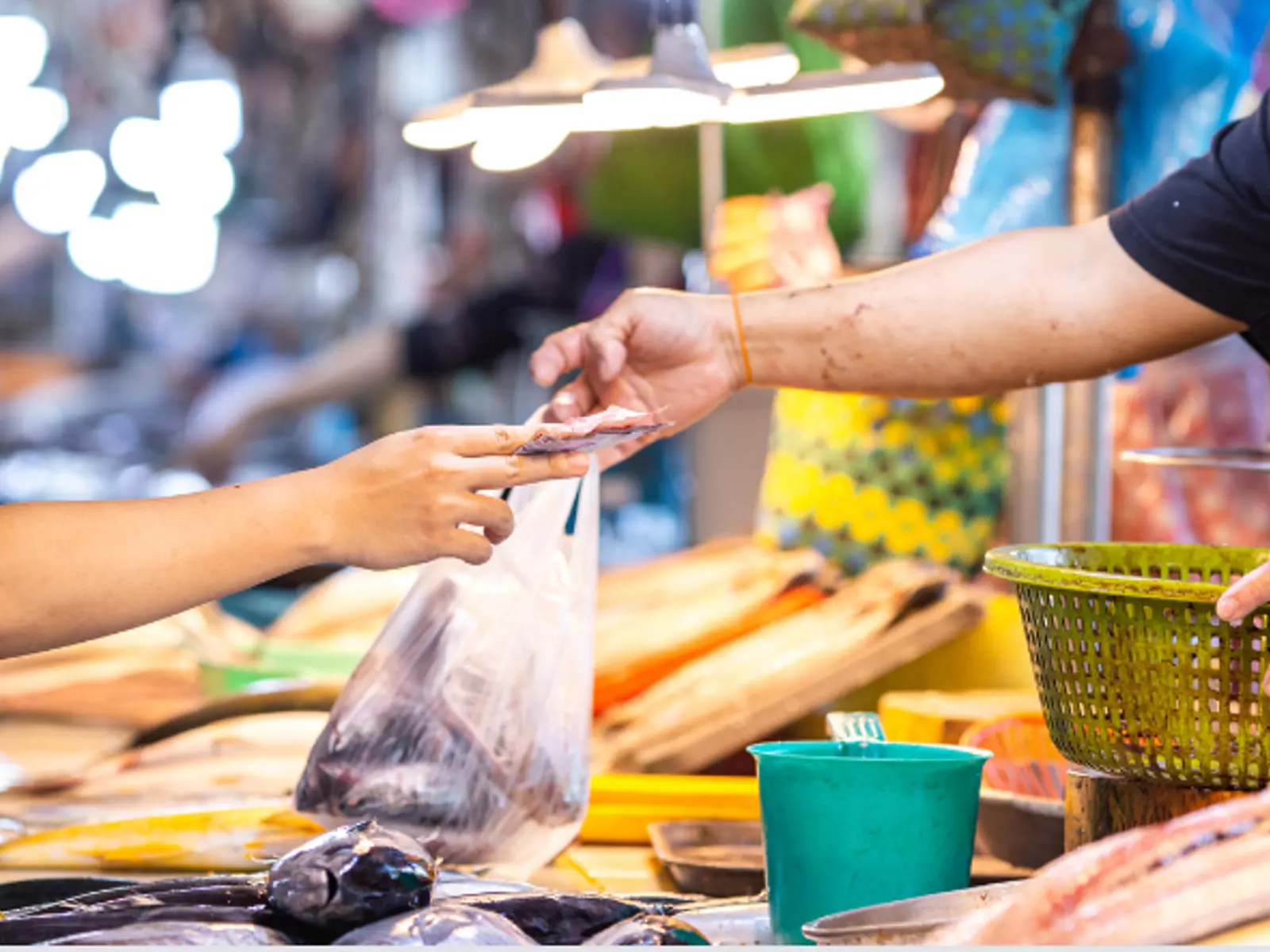 Vendors (Goods, Wares or Merchandise) | Municipality of Hastings Highlands